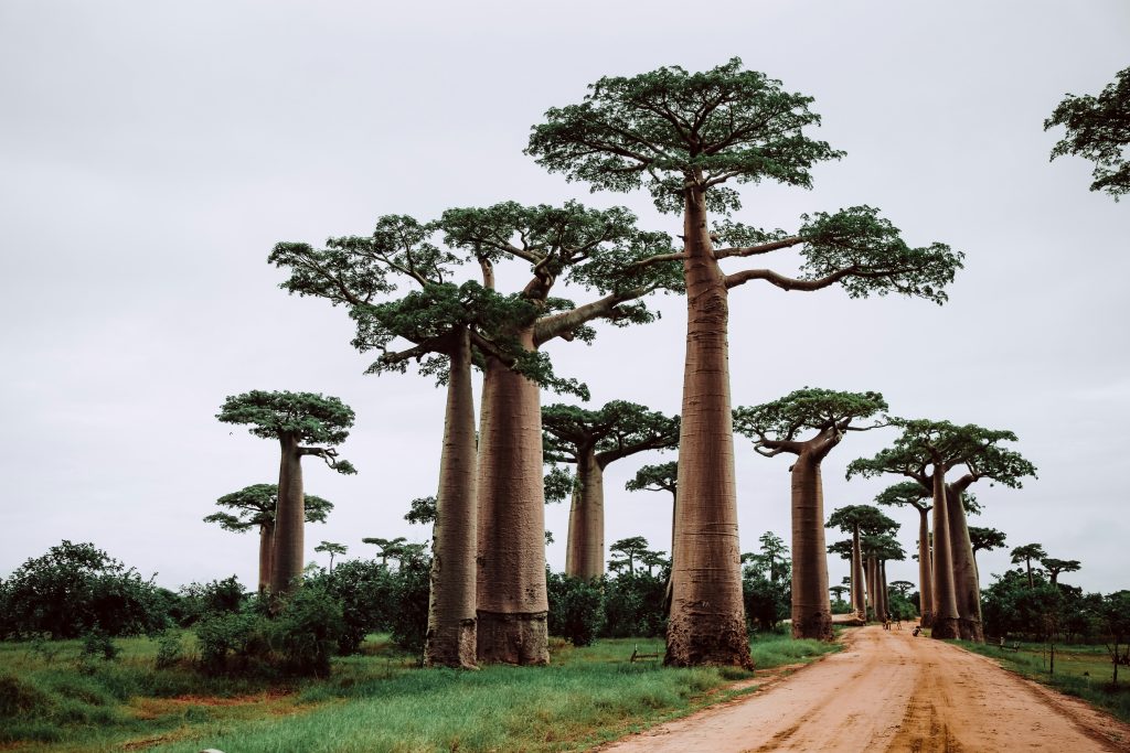 10 Unique Holiday Destinations You're Missing Out On